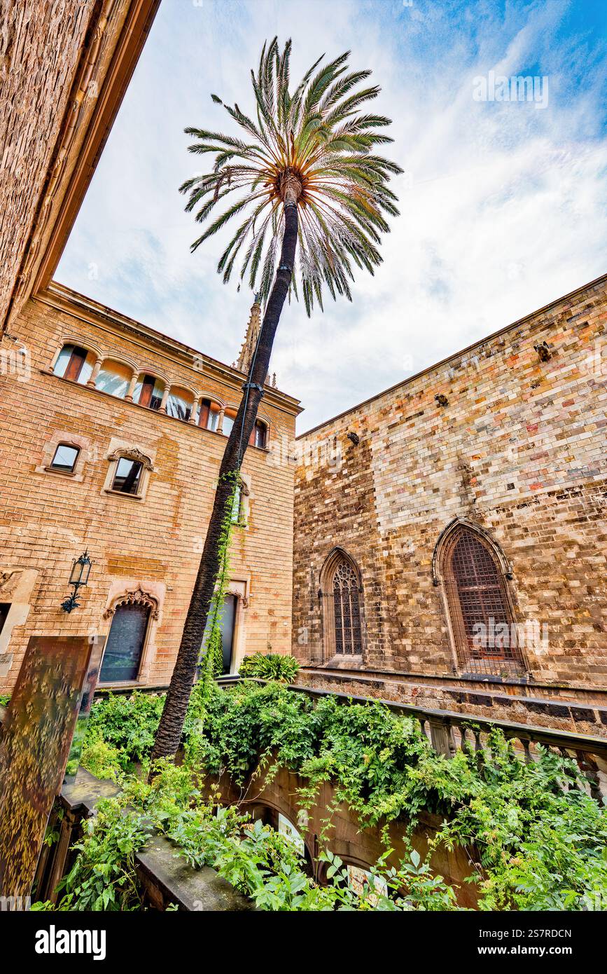 Inner courtyard of Cathedral of the Holy Cross. Barcelona. Spain Stock ...