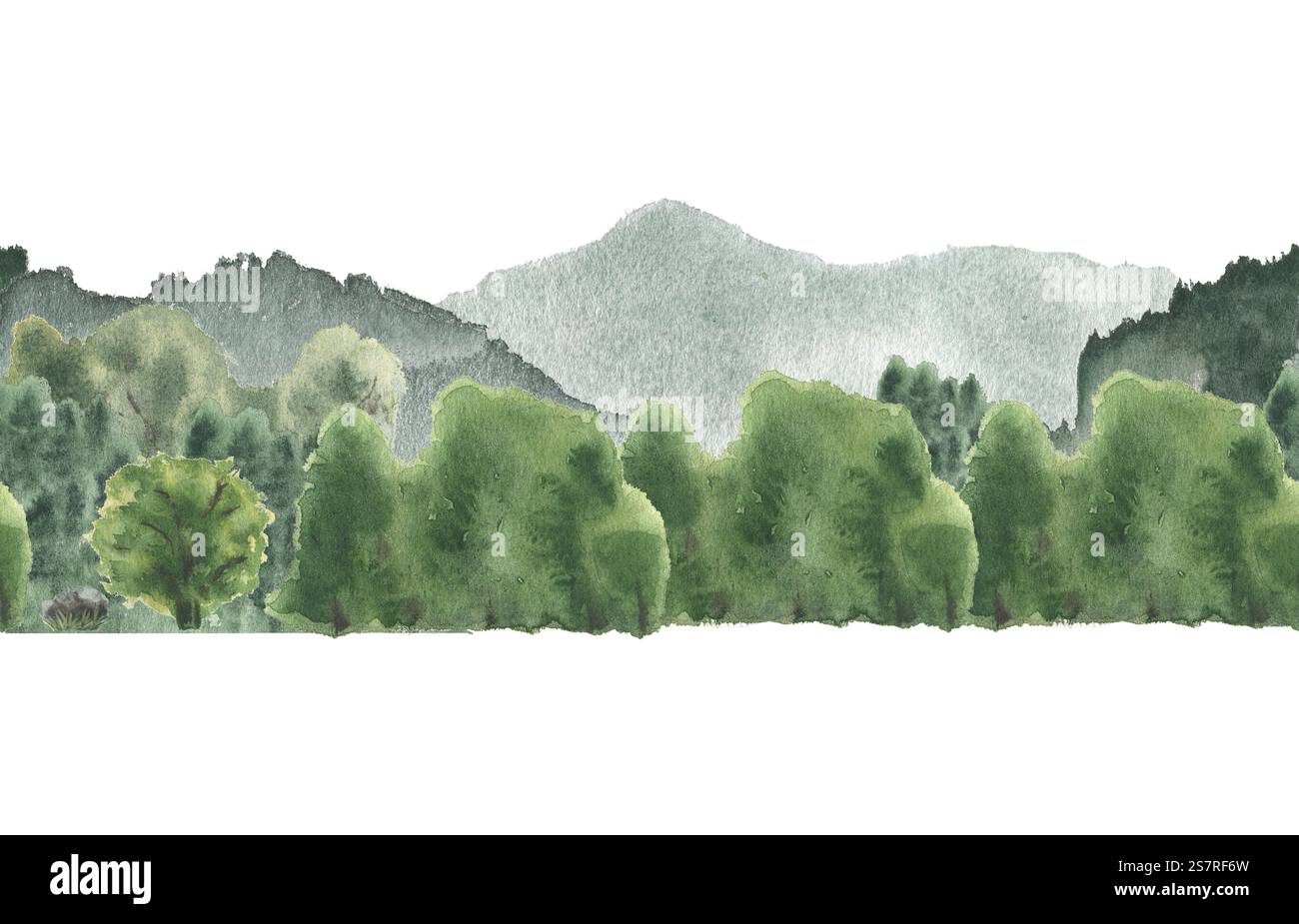 Woodland view lush greenery by watercolor seamless border isolated on white. Forest area and ...