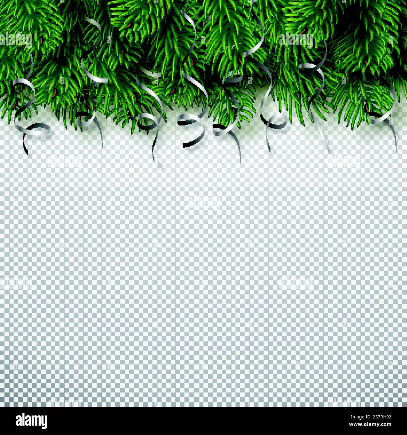 Winter holiday background. Border with Christmas tree branches and serpantine isolated. Fir ...