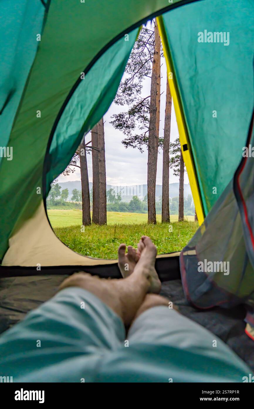 Camping legs resting near tent window, overlooking verdant pine ...