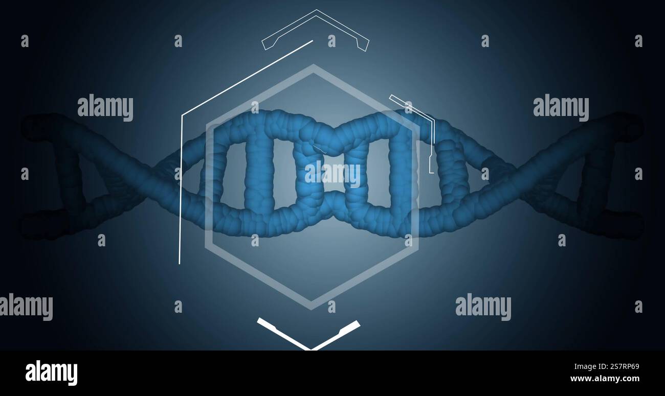 Image of hexagon over dna strand Stock Photo - Alamy
