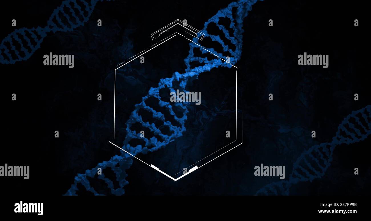 Image of hexagons over dna strand Stock Photo - Alamy