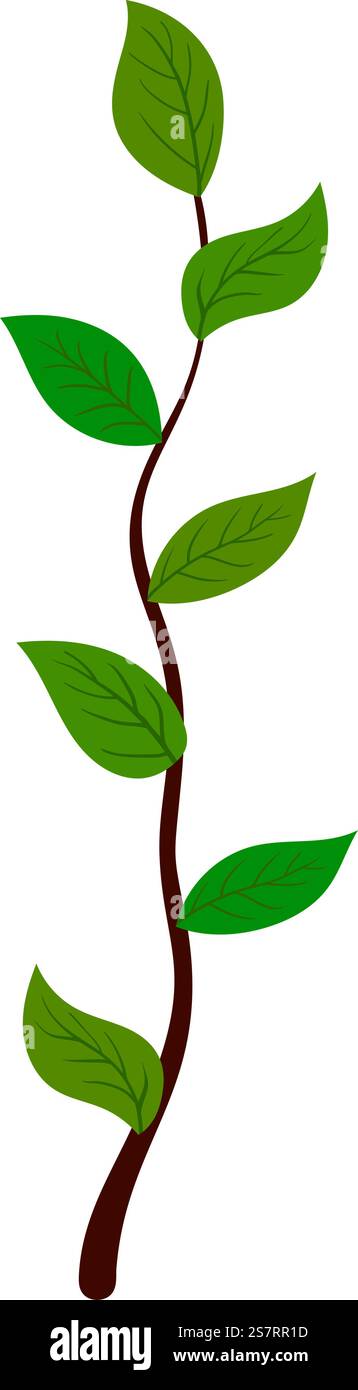 Branch of tree. Suitable for different designs. Vector Illustration ...