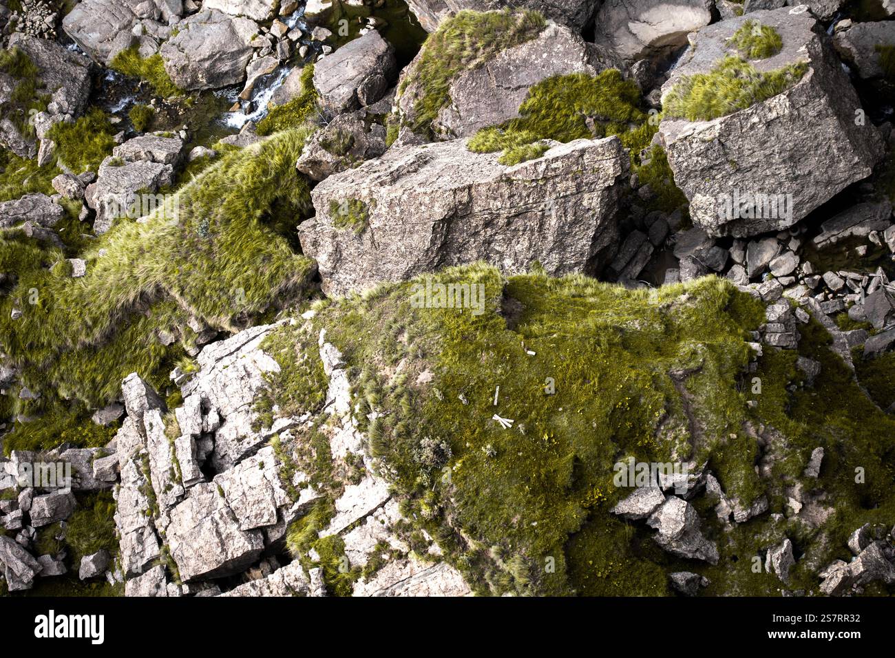 Rocks, rocks overgrown with fresh green grass, mountain gorge Stock ...