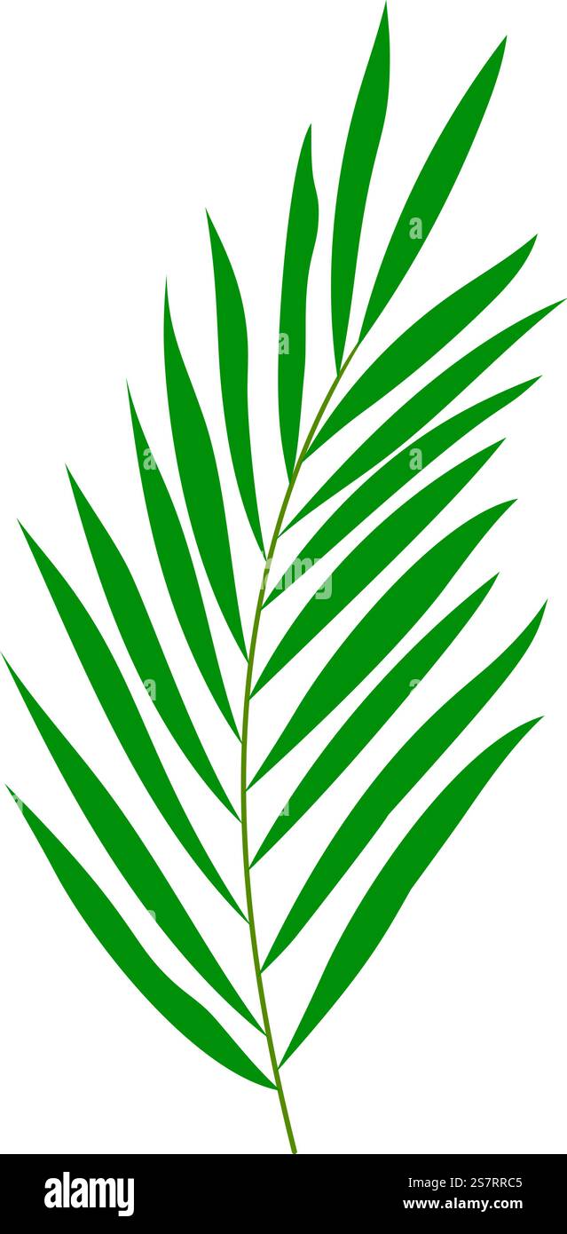 Palm tree designs hi-res stock photography and images - Alamy