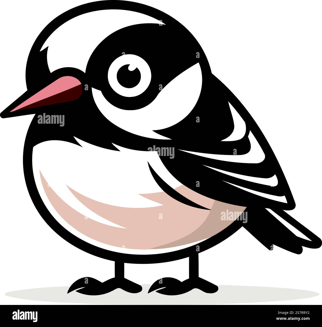 titmouse bird isolated on a white background. vector illustration Stock ...