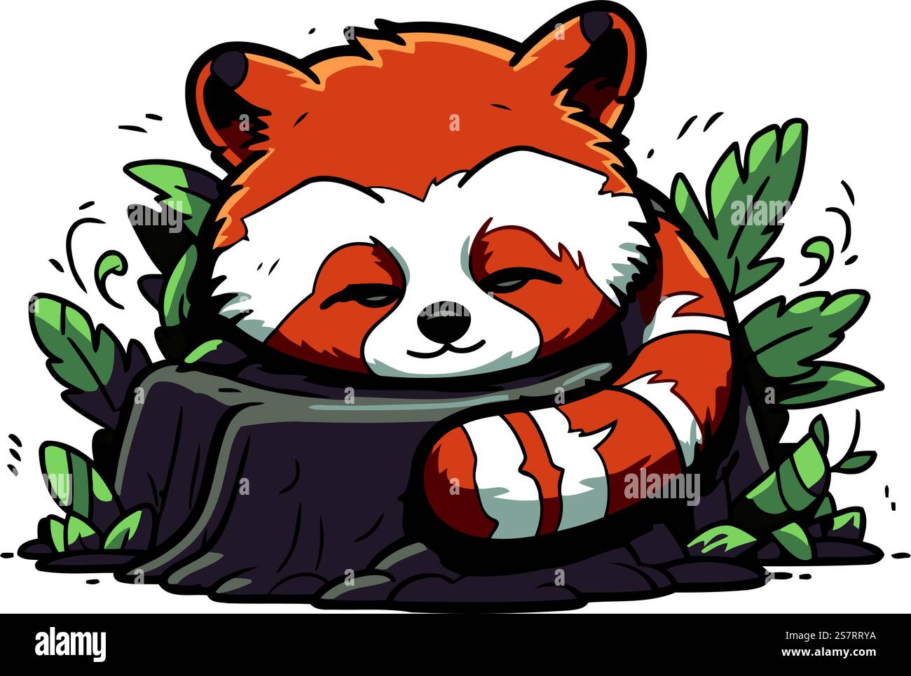 Cute red panda sleeping on a rock. Vector illustration Stock Vector ...