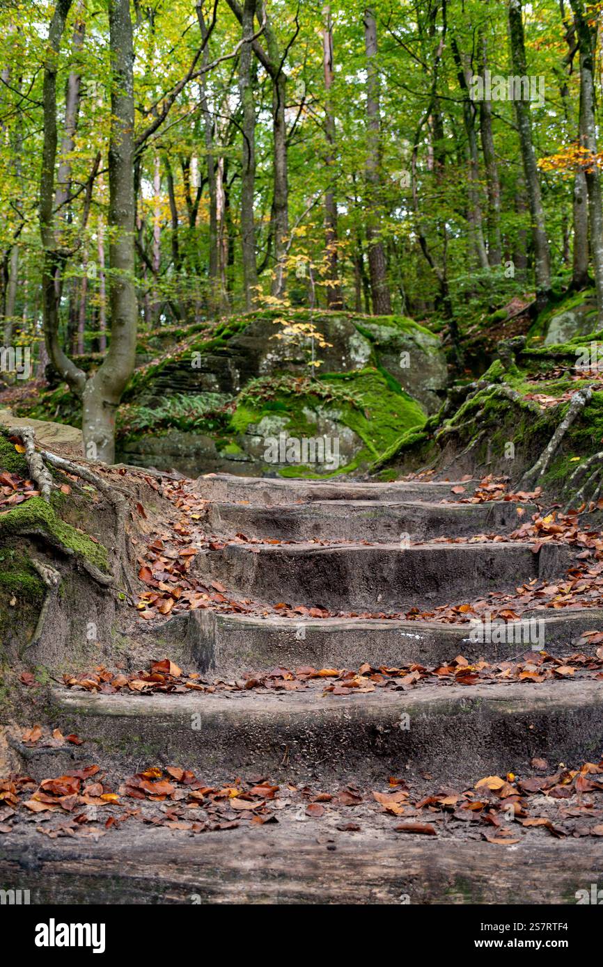 Scenic nature diversity of Mullerthal, Luxembourg's Little Switzerland ...