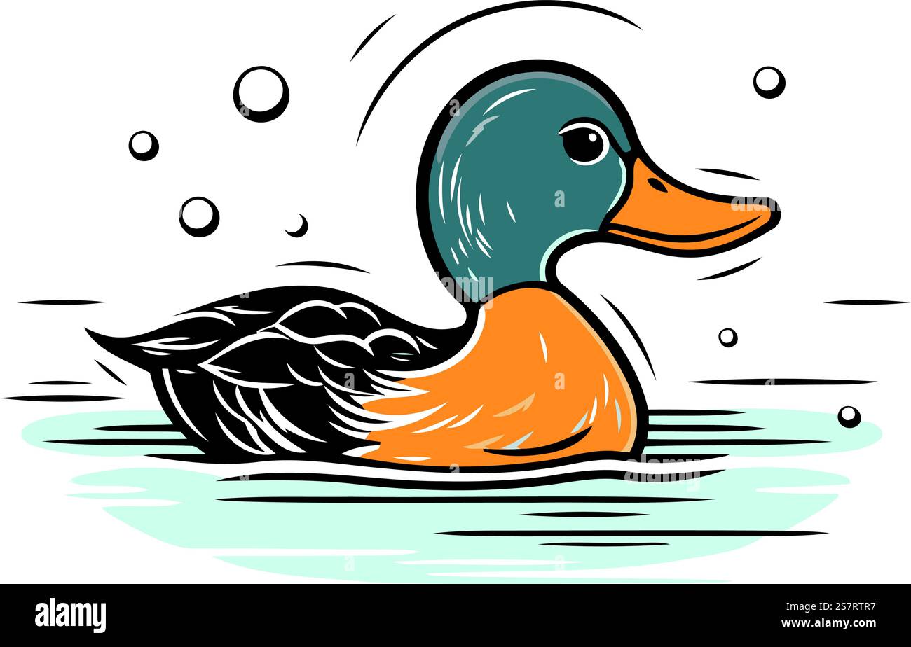 Duck swimming on the water in cartoon style. Vector illustration Stock ...