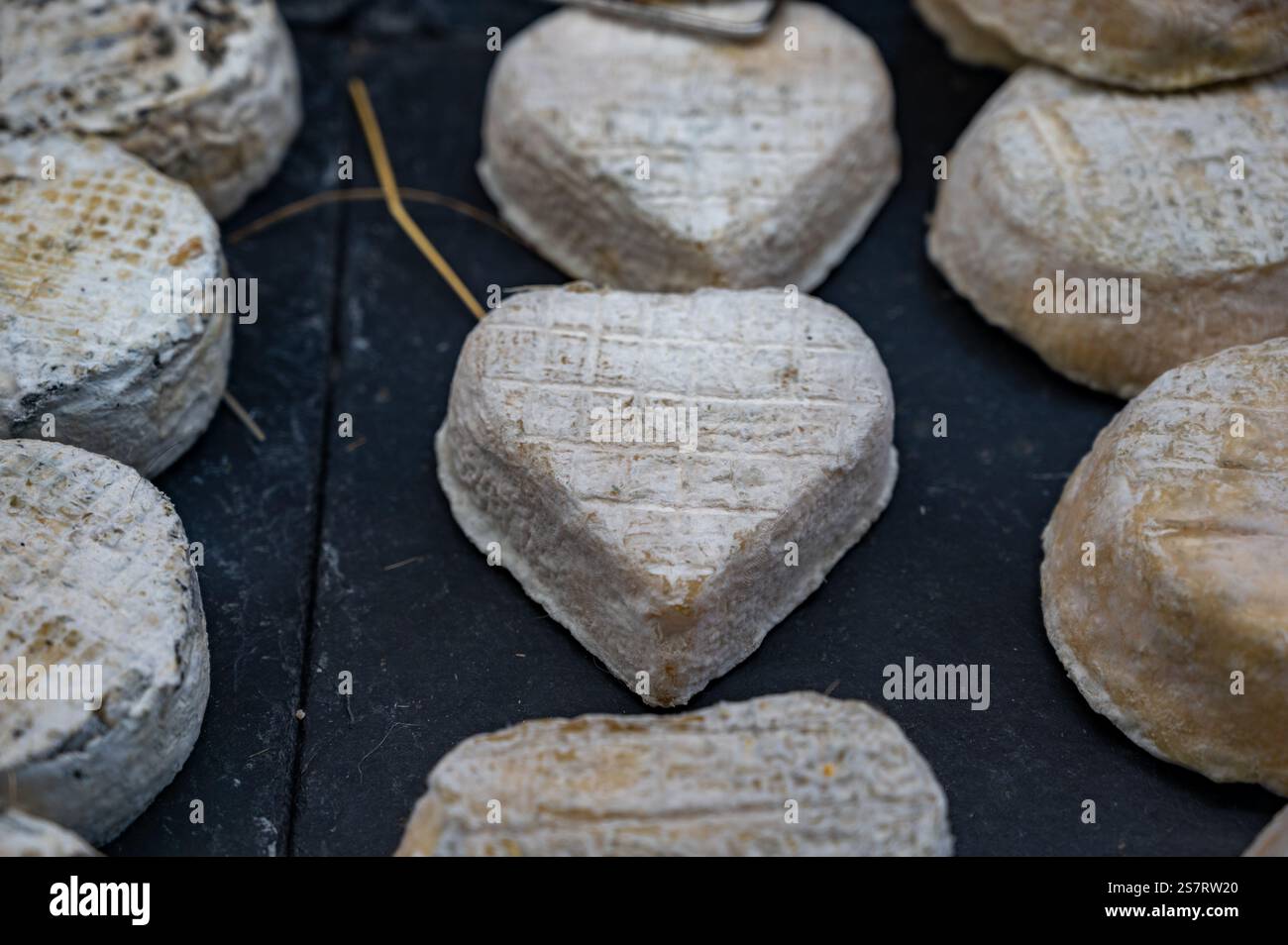 French goat chevre cheeses fresh and crottin chavignol, made from ...