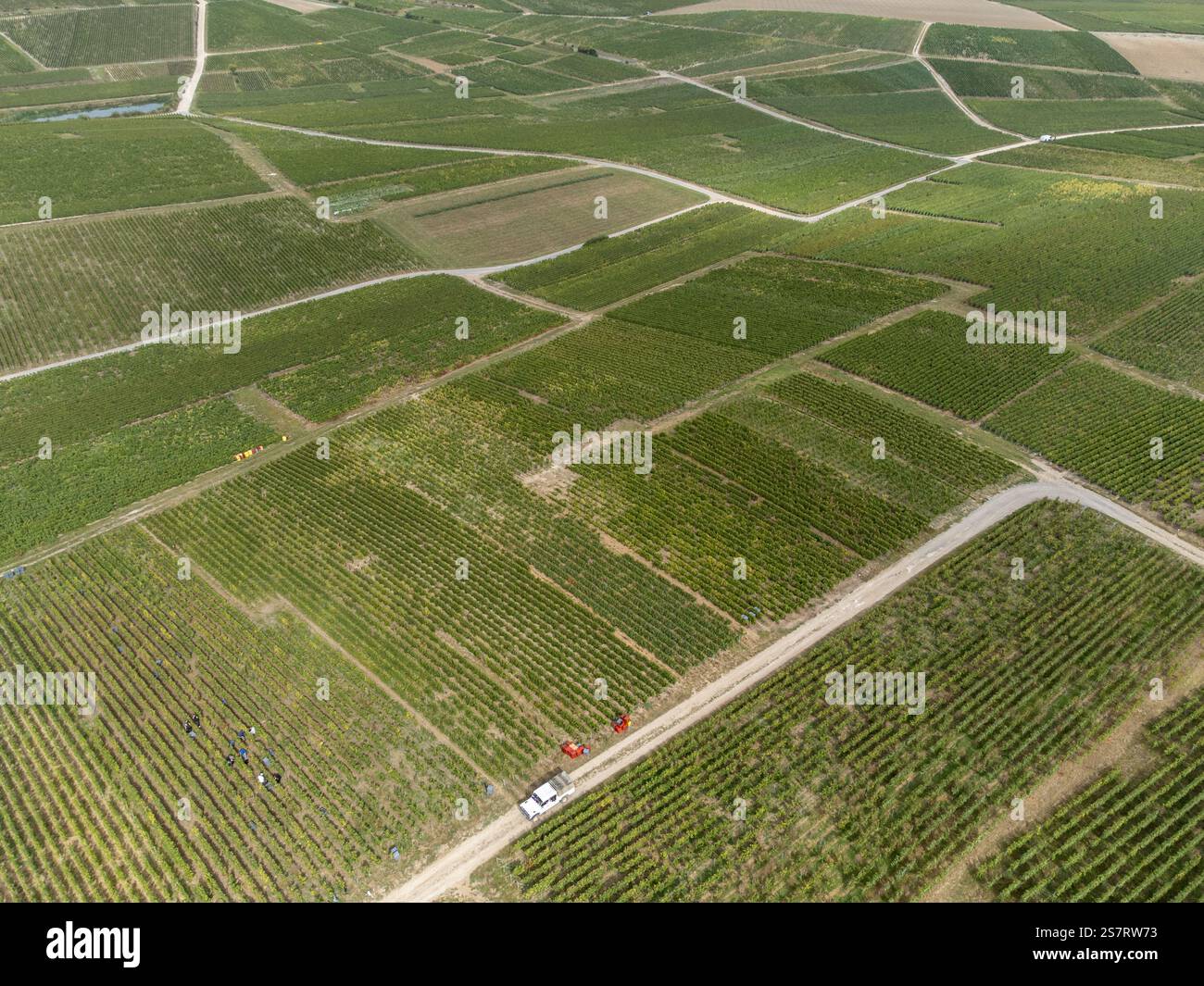 Aerial view on grand cru vineyards near Cramant and Avize, region ...