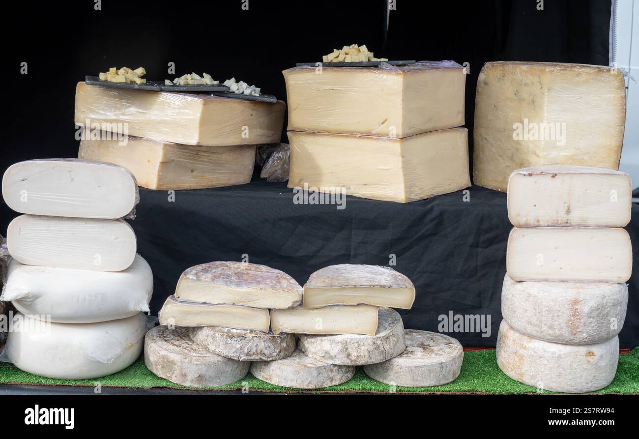 Tasting of different hard cheeses in Italian cheese farm shop, tasting ...