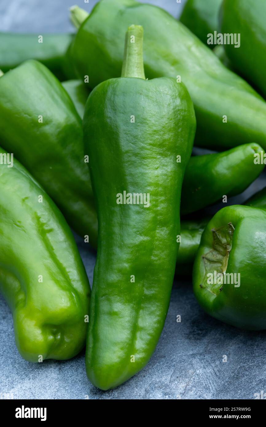 Padron green Spanish pepper or Herbón pepper landrace variety of pepper ...