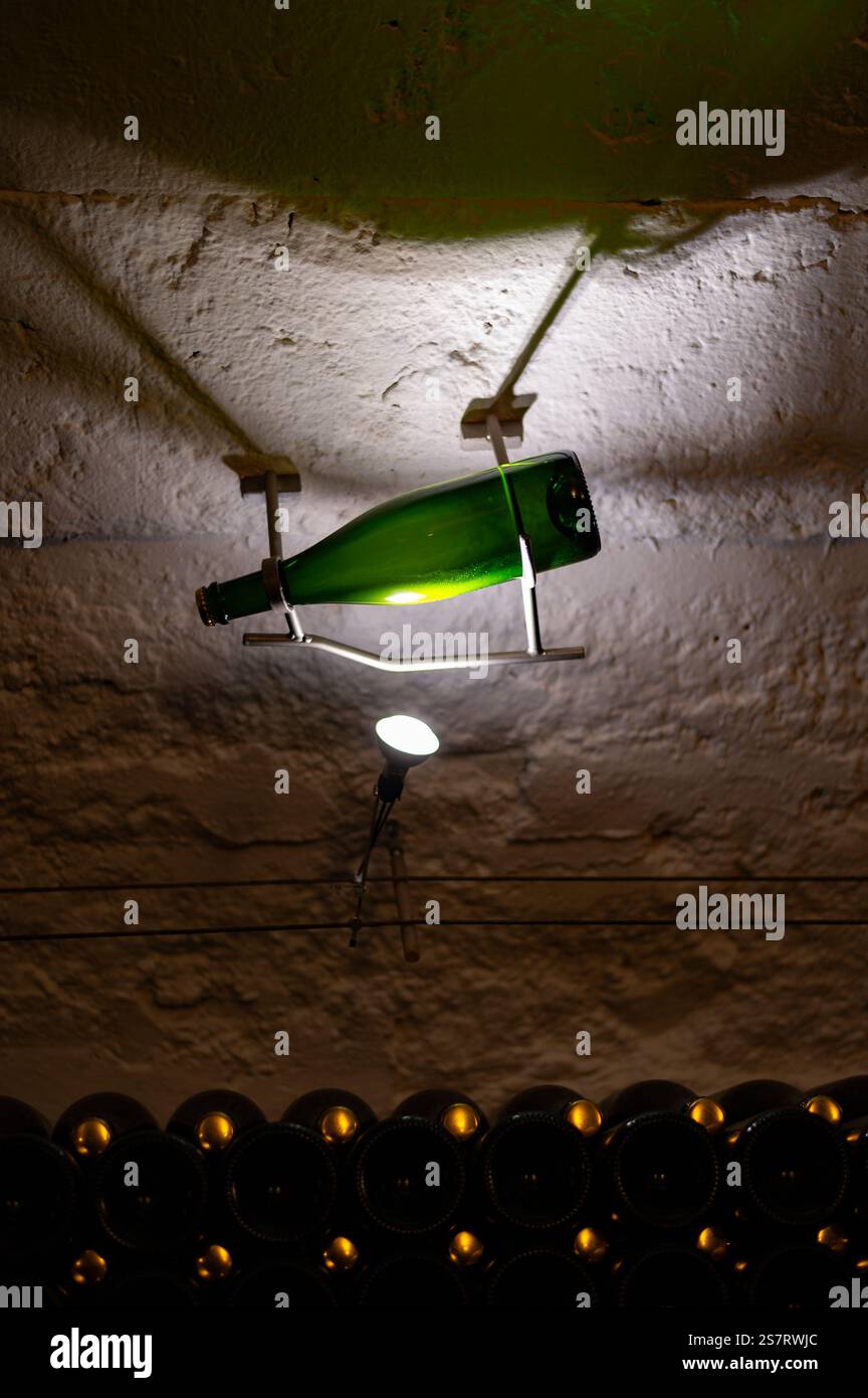Lees yeast cells left over from fermentation in bottlem in caves ...