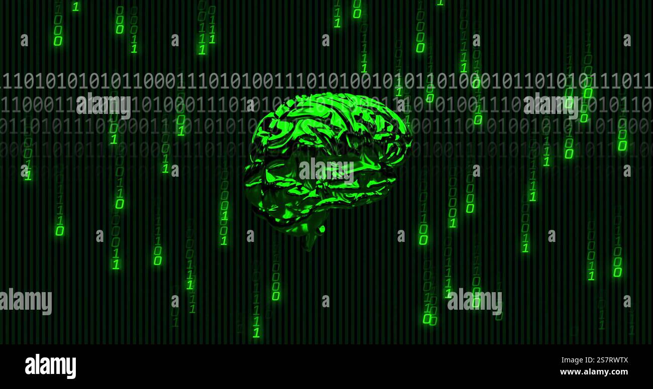 Image of binary coding over spinning brain Stock Photo - Alamy