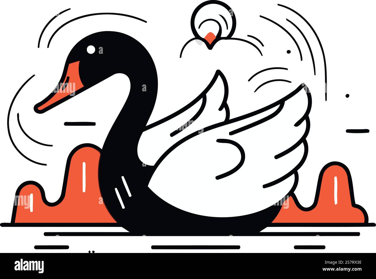 Vector illustration of a black swan swimming in a swimming pool Stock ...
