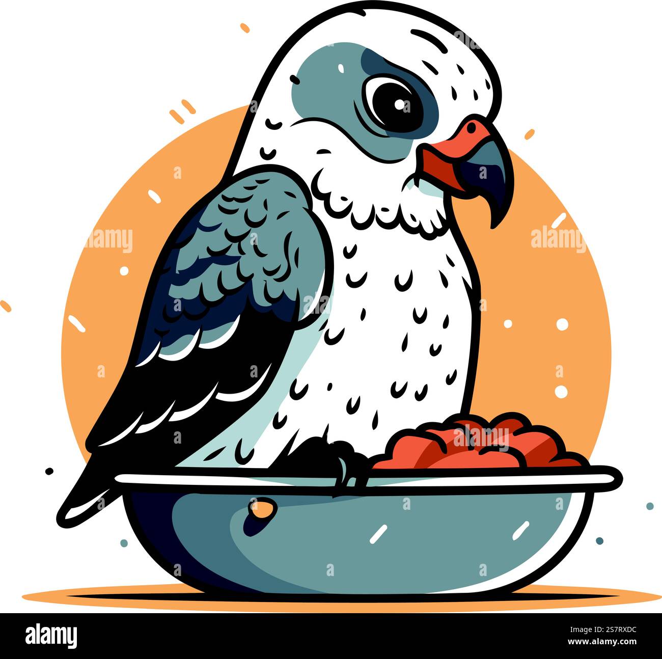 Parrot eating food in bowl. Vector illustration in cartoon style Stock ...