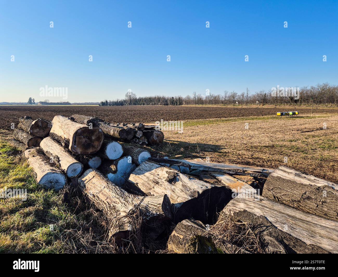Italy, Castano Primo, Parco del Ticino, Ticino Park Stock Photo - Alamy