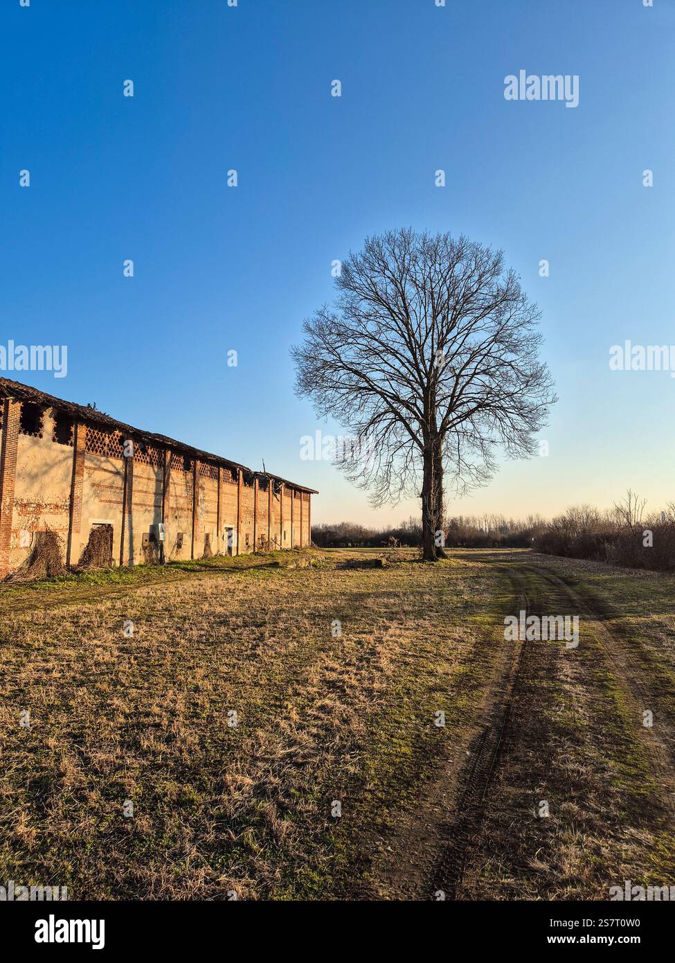 Italy, Castano Primo, Parco del Ticino, Ticino Park Stock Photo - Alamy