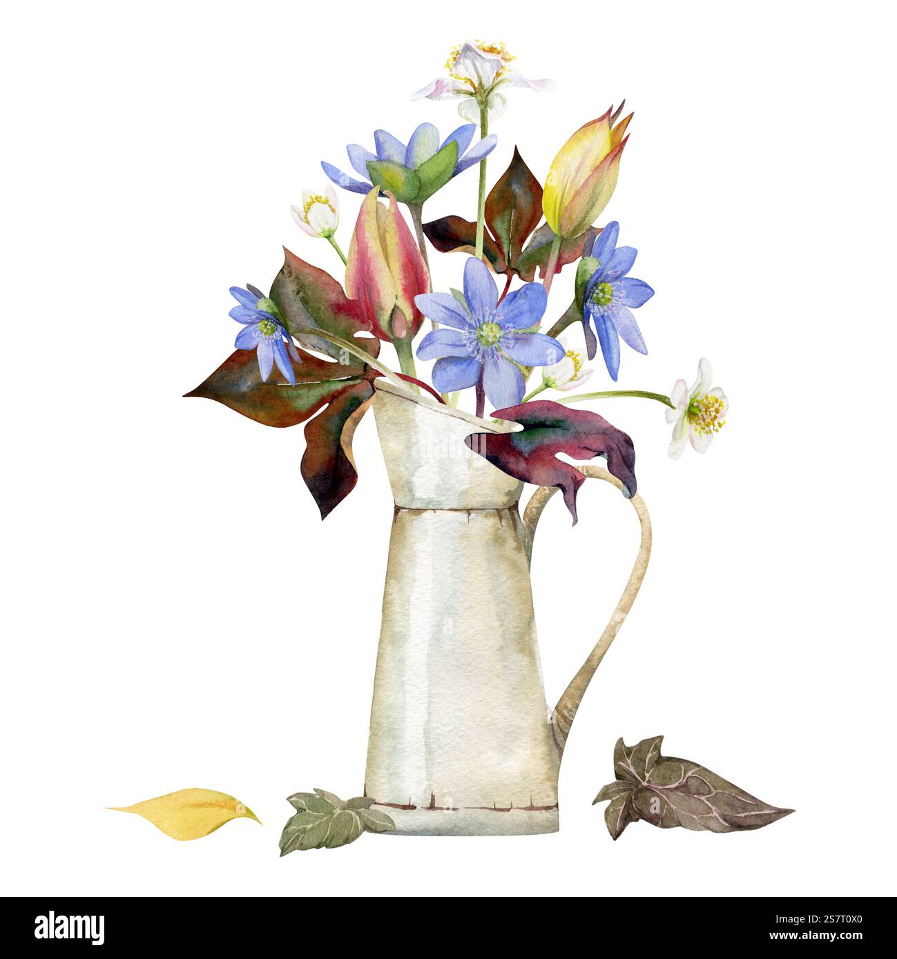 Spring flowers, yellow and red tulip, blue hepatica forget-me-not ...