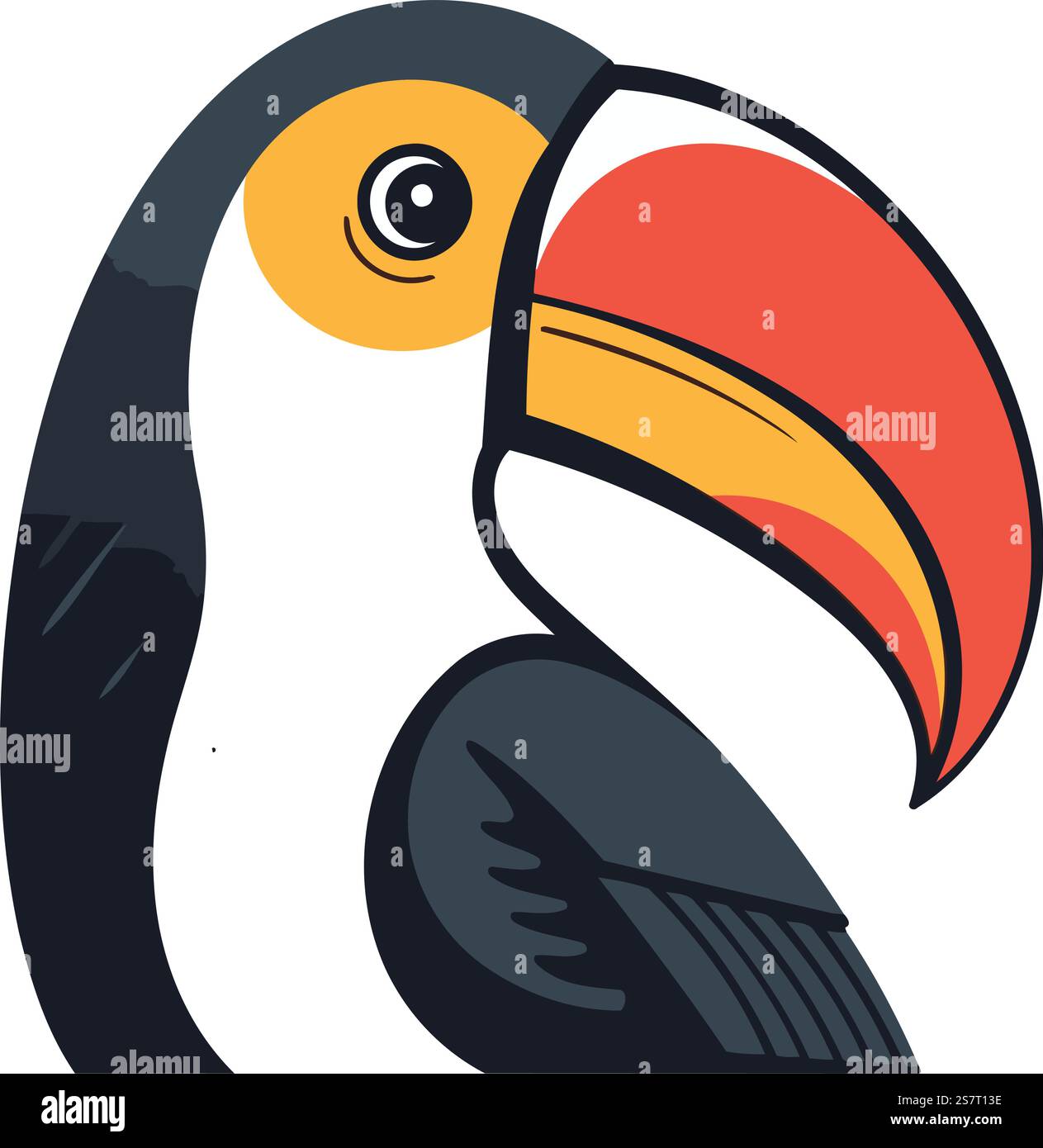 toucan vector illustration isolated on white background. vector ...