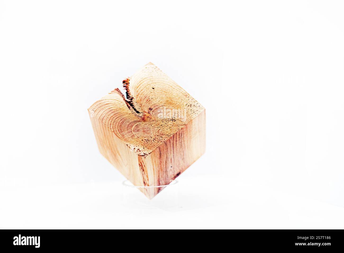 Showcase piece Cut Out Stock Images & Pictures - Alamy