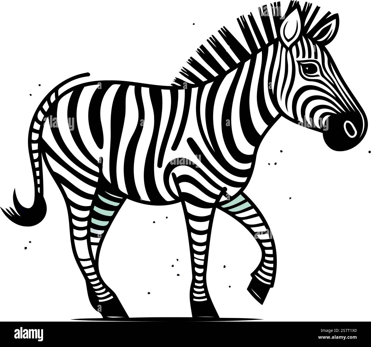 Zebra. Hand drawn vector illustration isolated on a white background ...