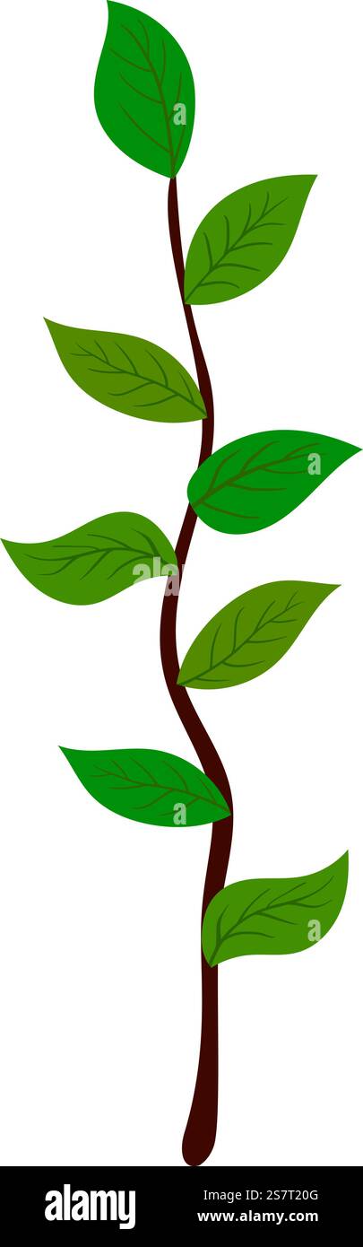 Branch of tree. Suitable for different designs. Vector Illustration ...