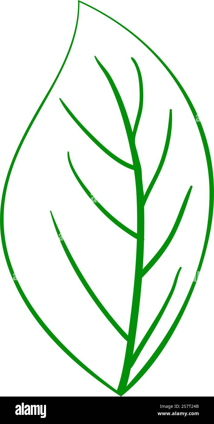 Tree leaf. Suitable for different designs. Vector Illustration Stock ...