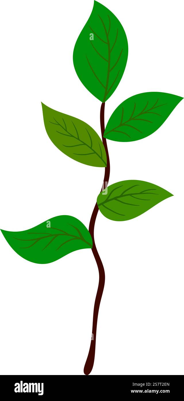 Branch of tree. Suitable for different designs. Vector Illustration ...