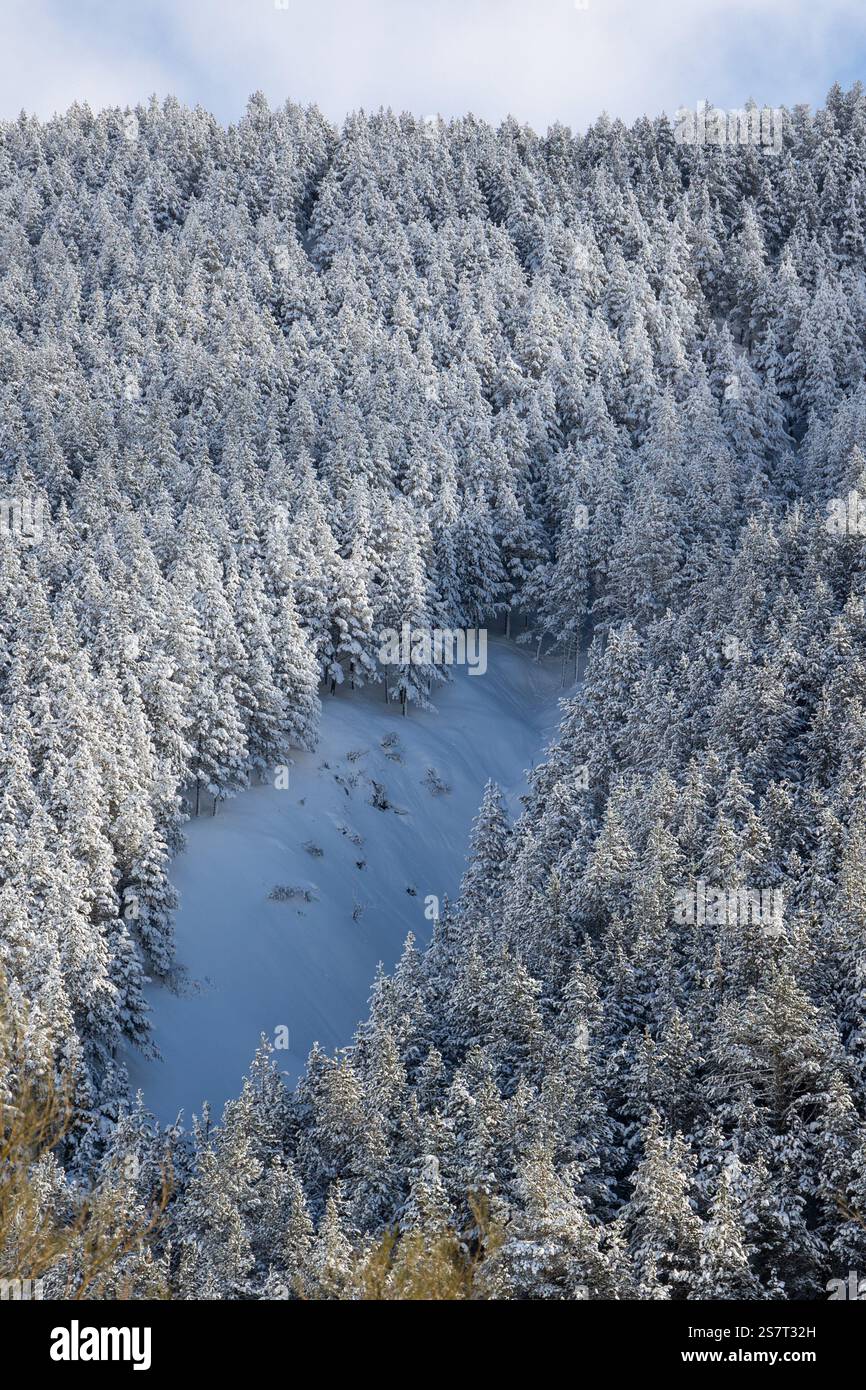 Aerial view of Snow-Covered Pine Forest and Hills in Puerto de San ...