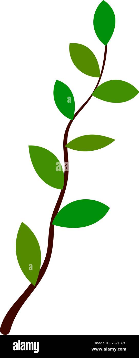 Branch of tree. Suitable for different designs. Vector Illustration ...