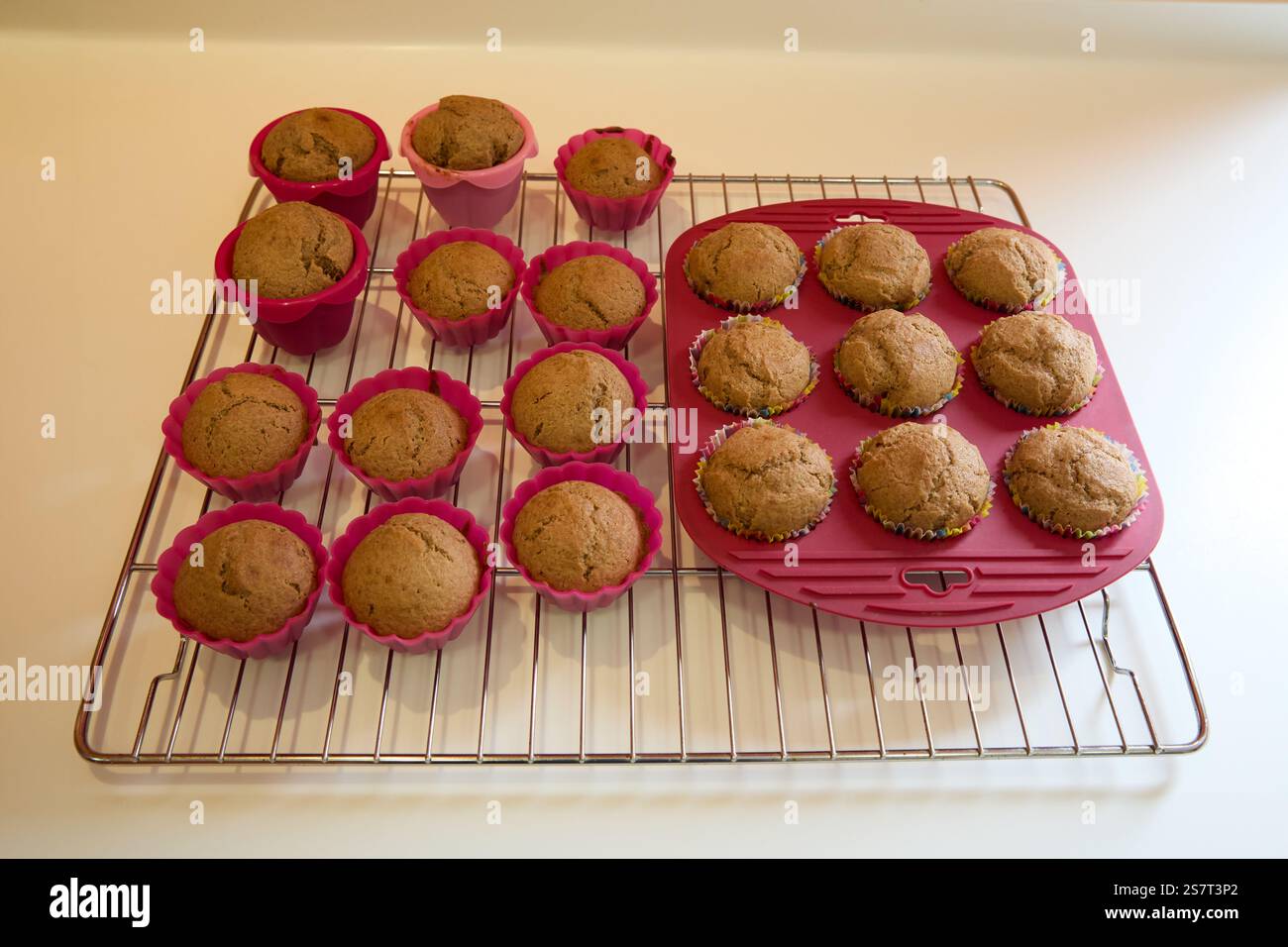 Group of cupcakes baked in their silicone molds cooling on an oven rack ...