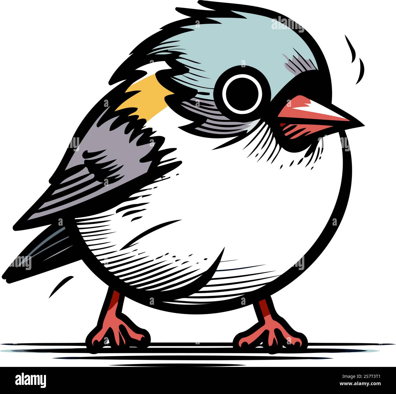 Chaffinch in cartoon style. Vector illustration isolated on white ...