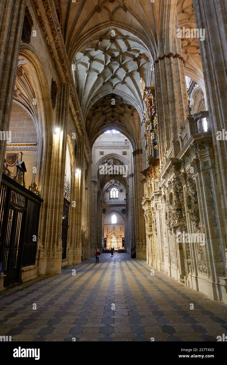 Large side nave, archs, ceiling and giant columns inside the Salamanca ...