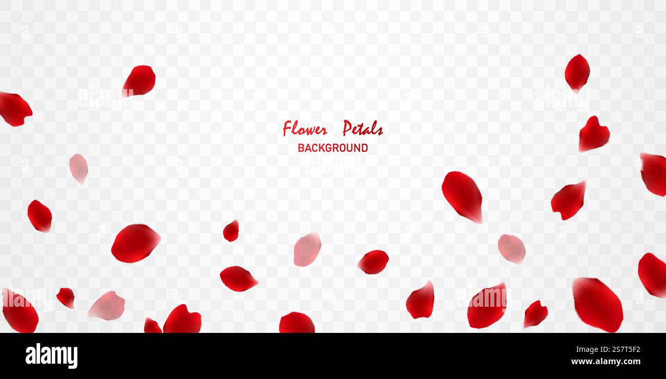gorgeous red rose petals background virtual vector illustration Stock ...