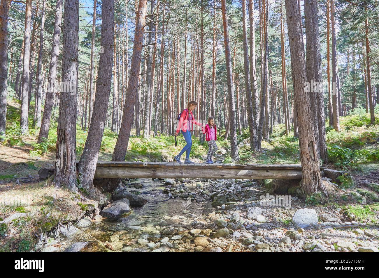 Mother and daughter walking across a wooden footbridge over a small ...