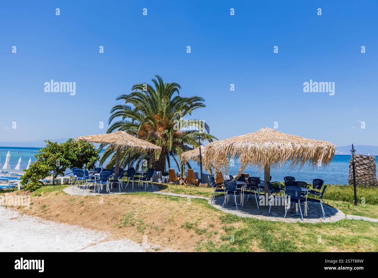 Tropical Beachside Seating Under Palm Trees With Straw Umbrellas ...