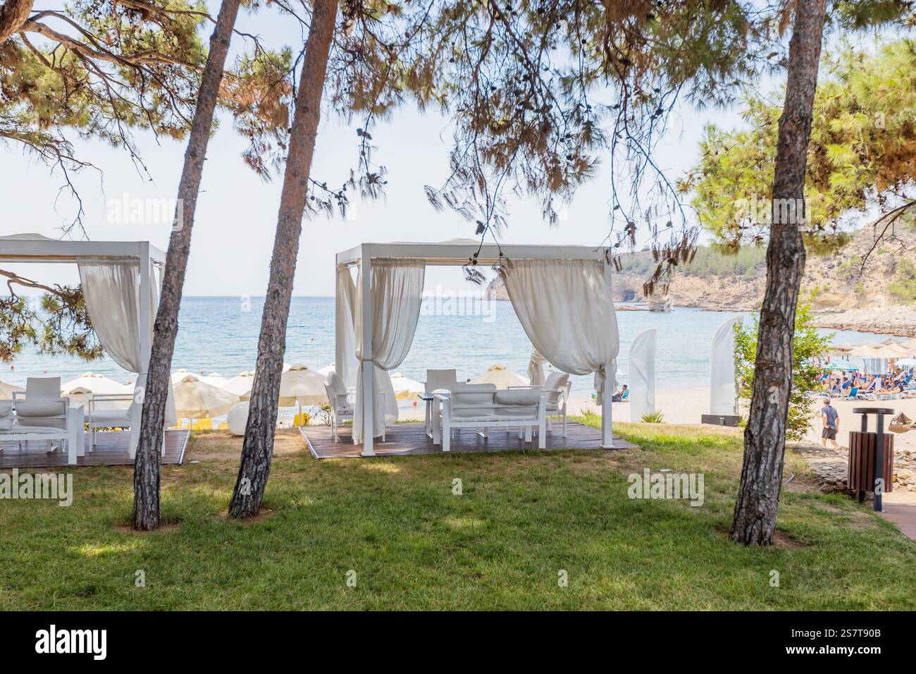 Luxury Beach Cabanas Under Pine Trees Overlooking Serene Coastal View ...