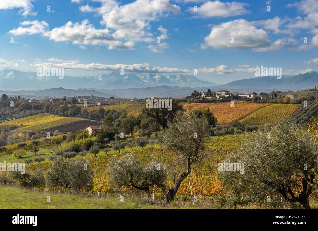 Controguerra hi-res stock photography and images - Alamy