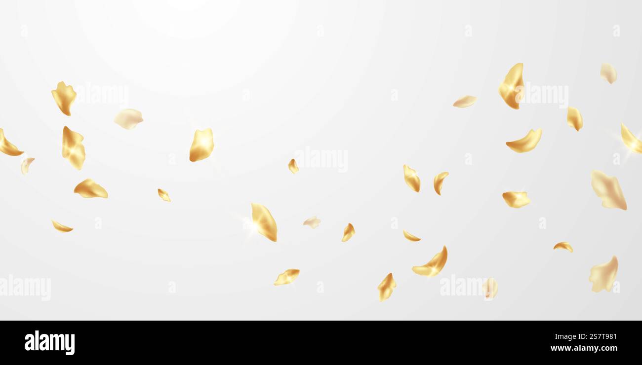 elegant golden flower petals design background vector illustration ...