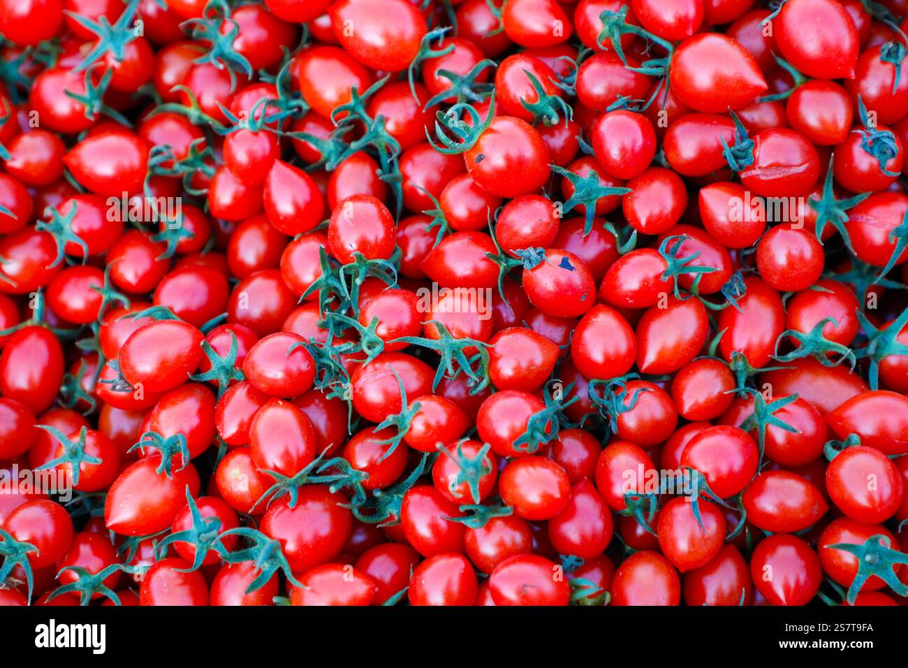 A bustling Spring Festival goods market in Jinan City, east China's ...