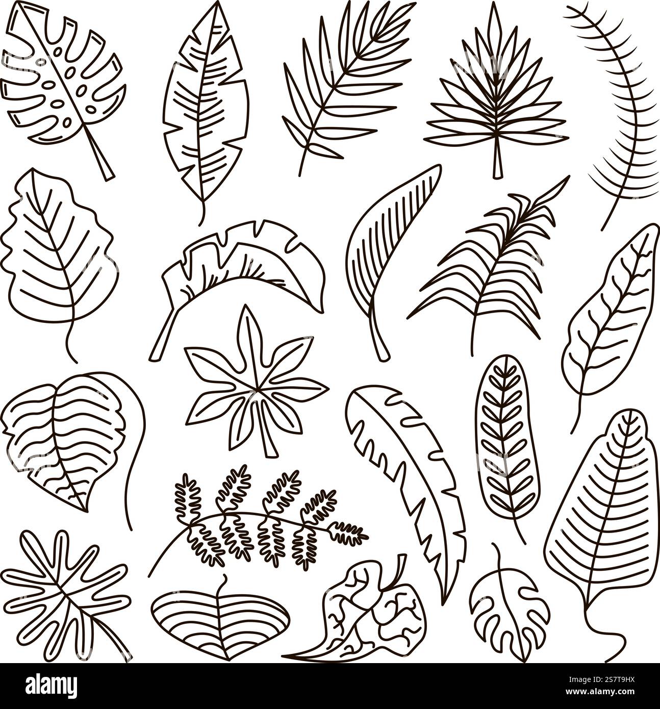 Doodle tropical outline leaves, leaf exotic line contour isolated set ...