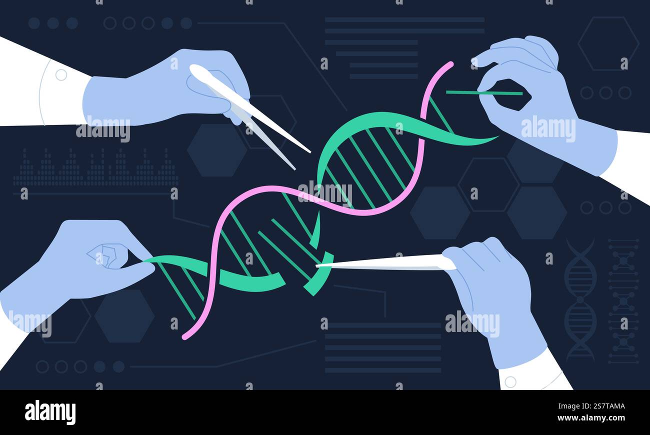 Baby genetics edit human dna crispr editing hi-res stock photography ...