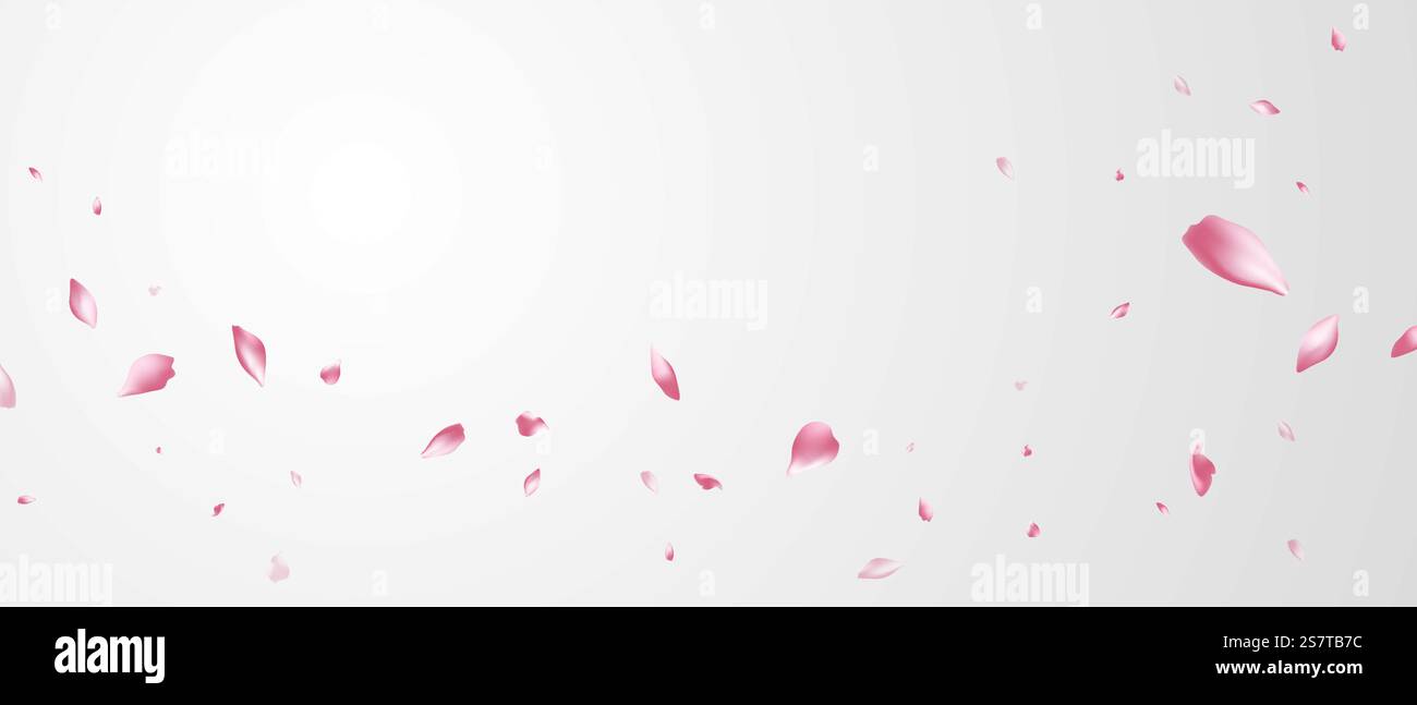 falling rose petals background vector design 3D illustration Stock ...