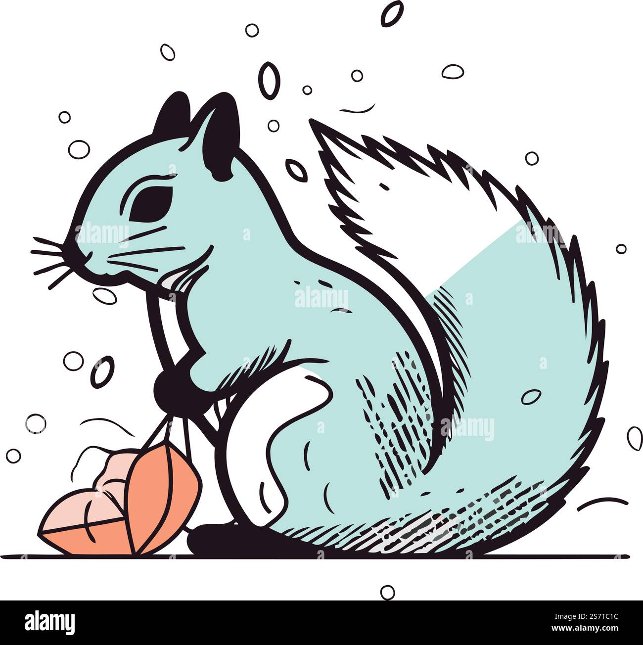 Hand drawn squirrel acorn Cut Out Stock Images & Pictures - Alamy