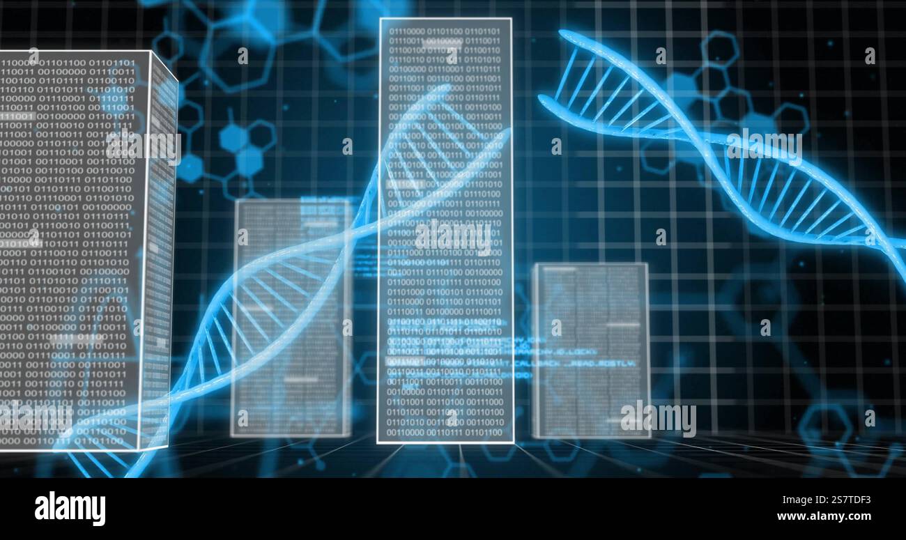 Image of digital data processing over dna strands spinning Stock Photo - Alamy