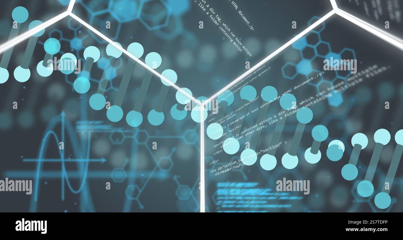 Image of digital data processing over dna strand spinning Stock Photo - Alamy