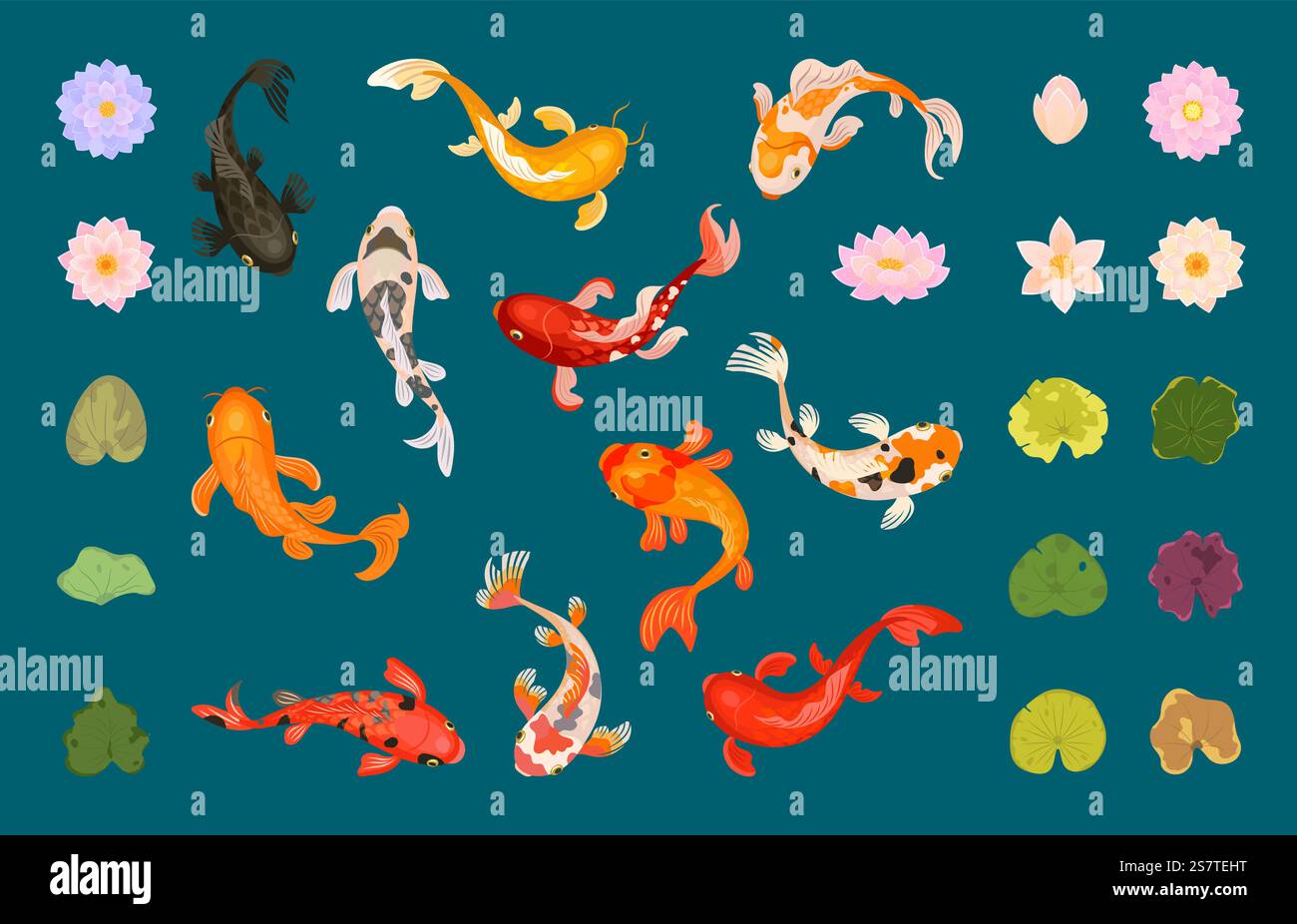 Koi fish and lotus. Botanical elements collection, japanese style ...