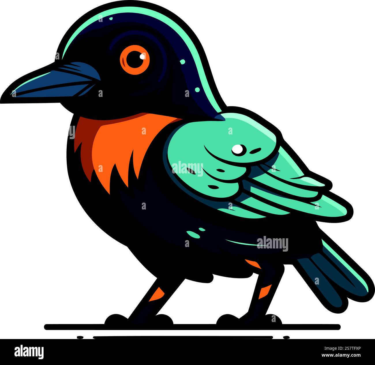 vector illustration of a black crowned robin in cartoon style Stock ...